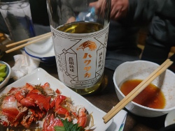 TeamZERO活動報告Vol.101