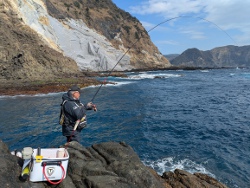 TeamZERO活動報告Vol.101