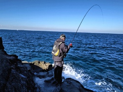 TeamZERO活動報告Vol.90