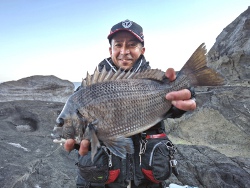 TeamZERO活動報告Vol.90