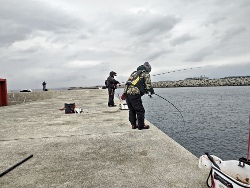 TeamZERO活動報告Vol.91