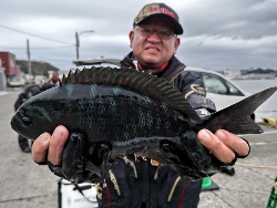 TeamZERO活動報告Vol.91