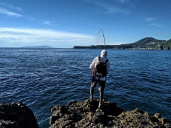 TeamZERO活動報告Vol.93