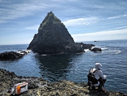 TeamZERO活動報告Vol.93