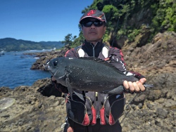 TeamZERO活動報告Vol.93