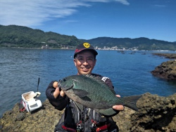 TeamZERO活動報告Vol.93