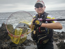 TeamZERO活動報告Vol.97